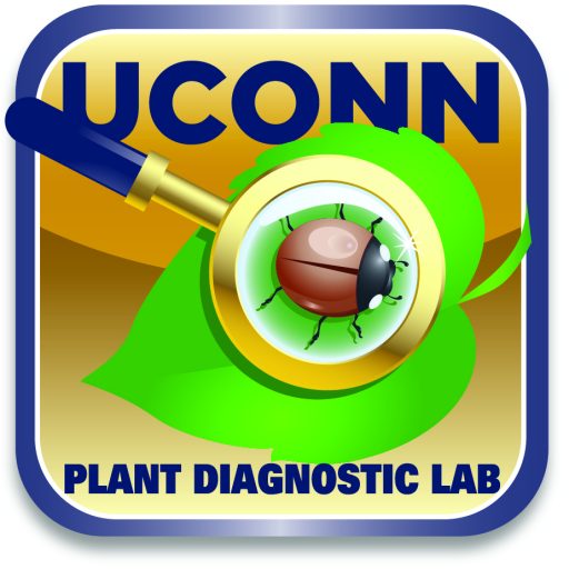 July 31, 2025 | UConn Plant Diagnostic Laboratory