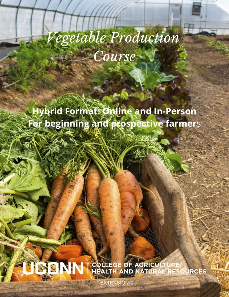 New Vegetable Production Certificate Course | UConn Plant Diagnostic ...